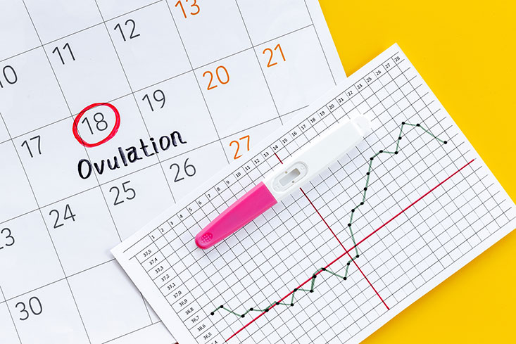 How to Track Ovulation | Pacific Reproductive Center